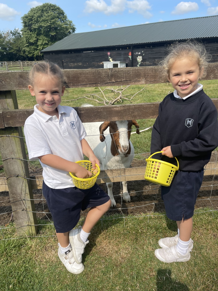 A visit to the Bucks Goat Centre